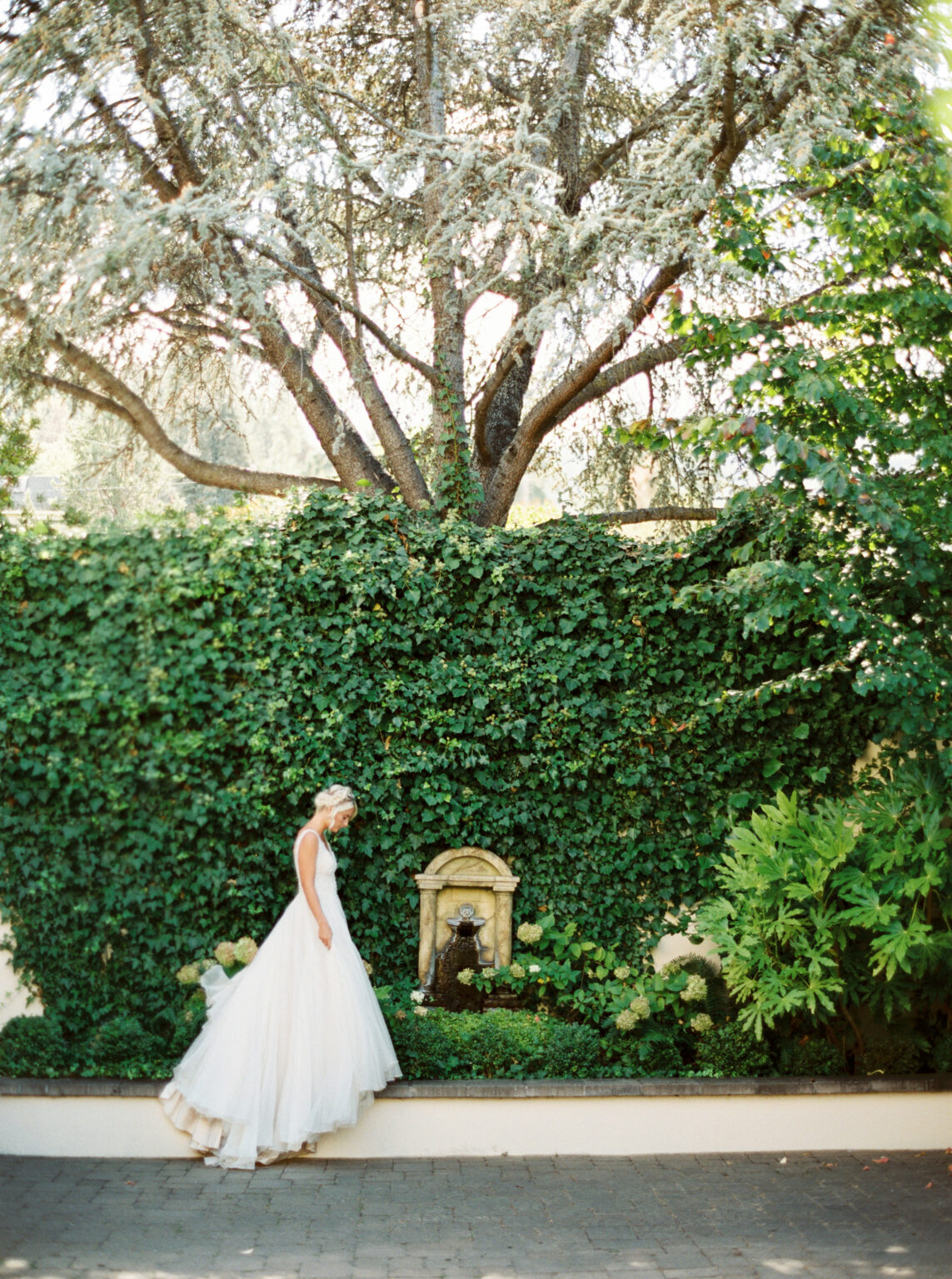 Wedding Photo Gallery Ashland Springs Hotel